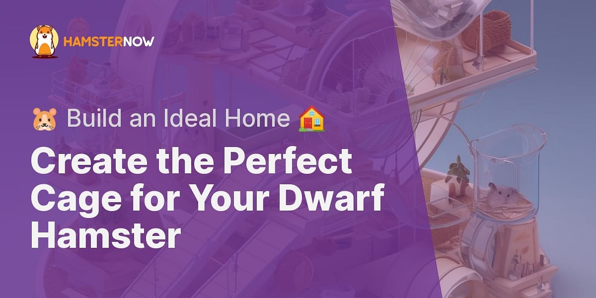 How Can I Create An Ideal Cage For A Dwarf Hamster