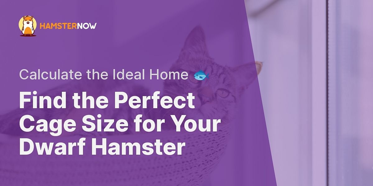 Ideal Cage Size For Your Dwarf Hamster Calculator Hamster Now